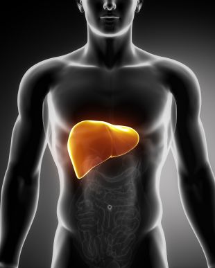 UTI Antibiotic Lomefloxacin May Cause Liver Damage