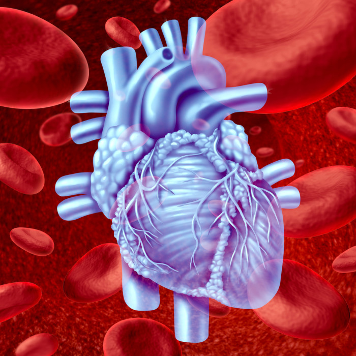 Blood Clot Vein Filters Pose a Problem In Hawaii - Top Class Actions