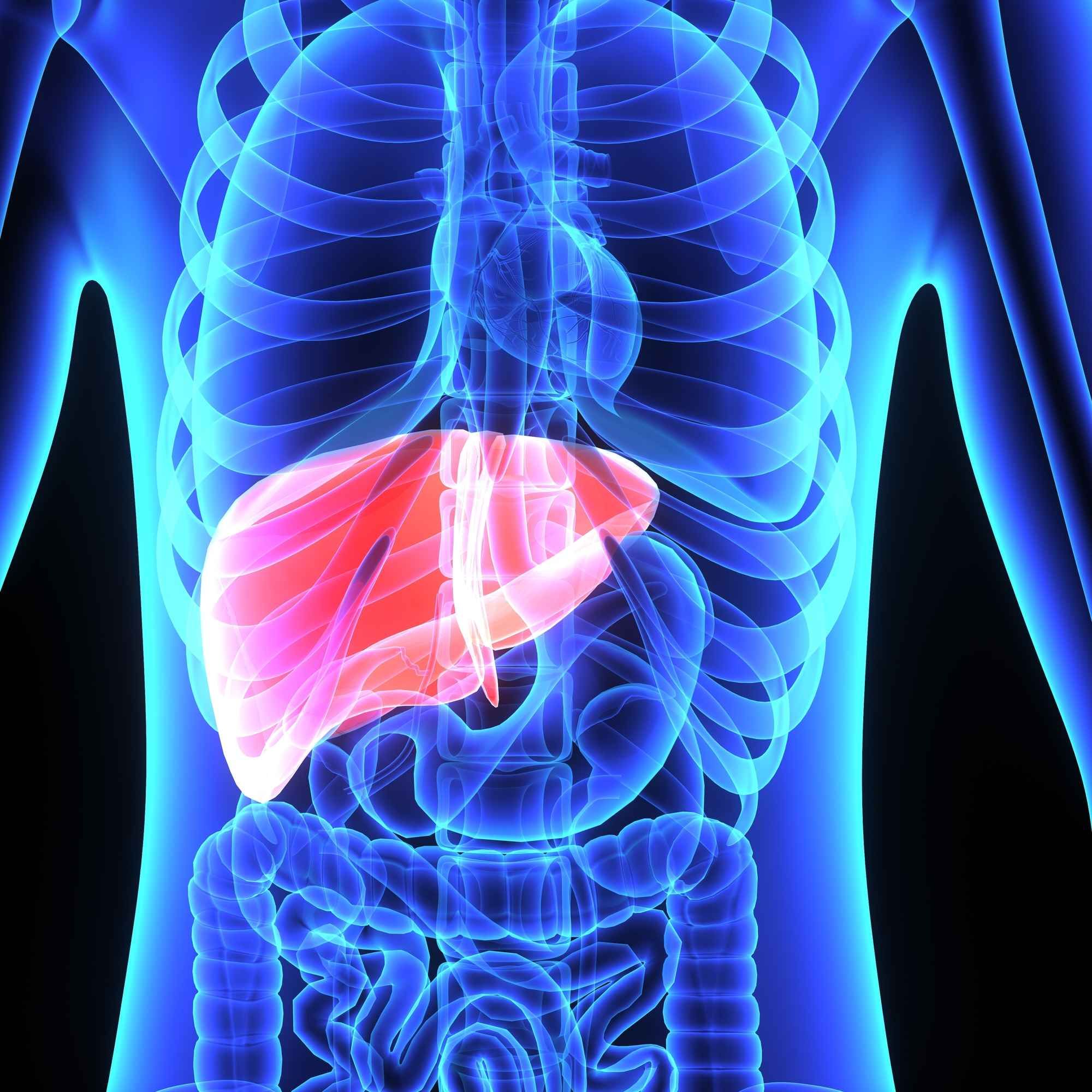 How Does Amiodarone Affect The Liver?