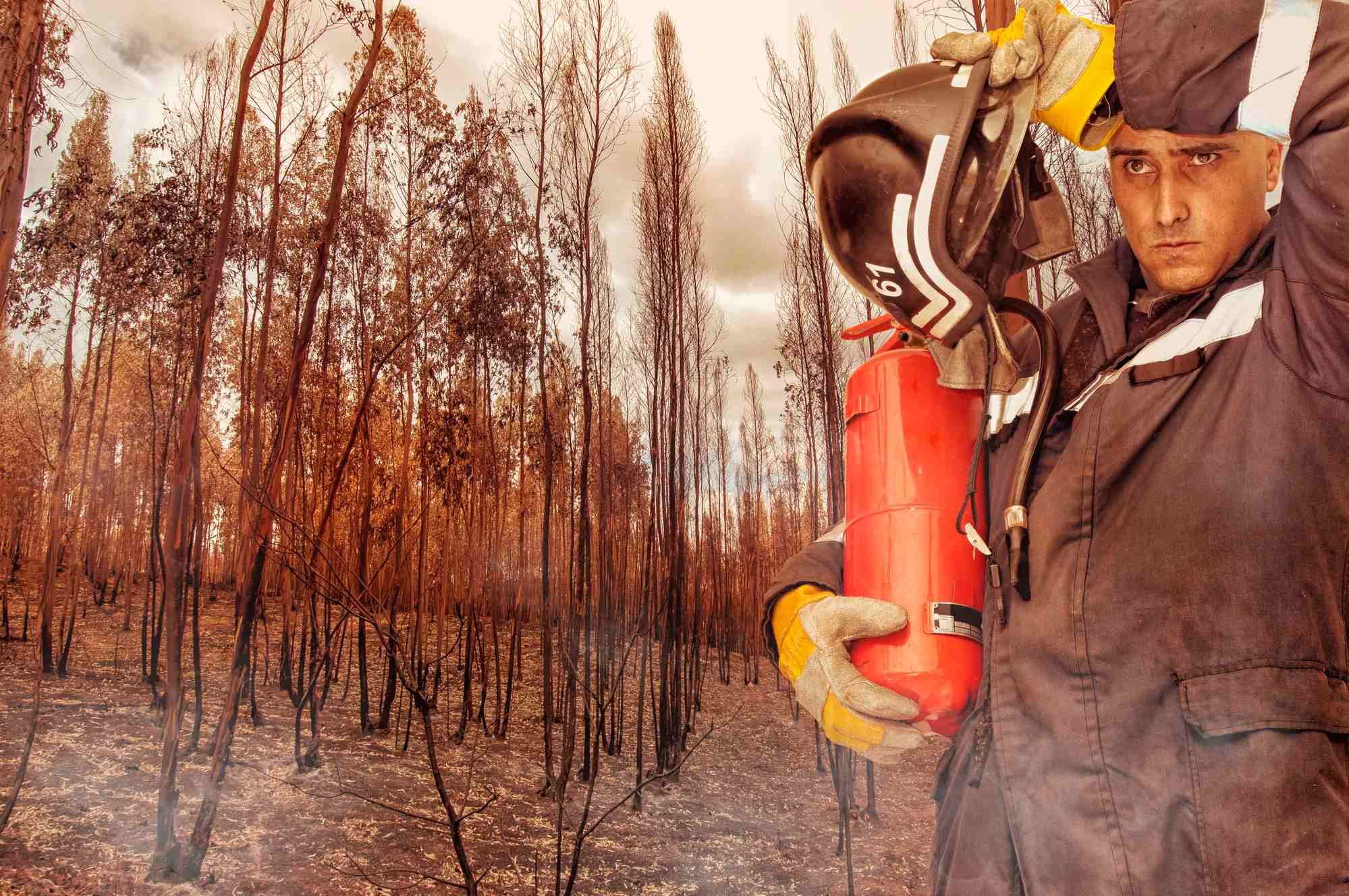 PGE Wildfire Liability: What They Should Have Done