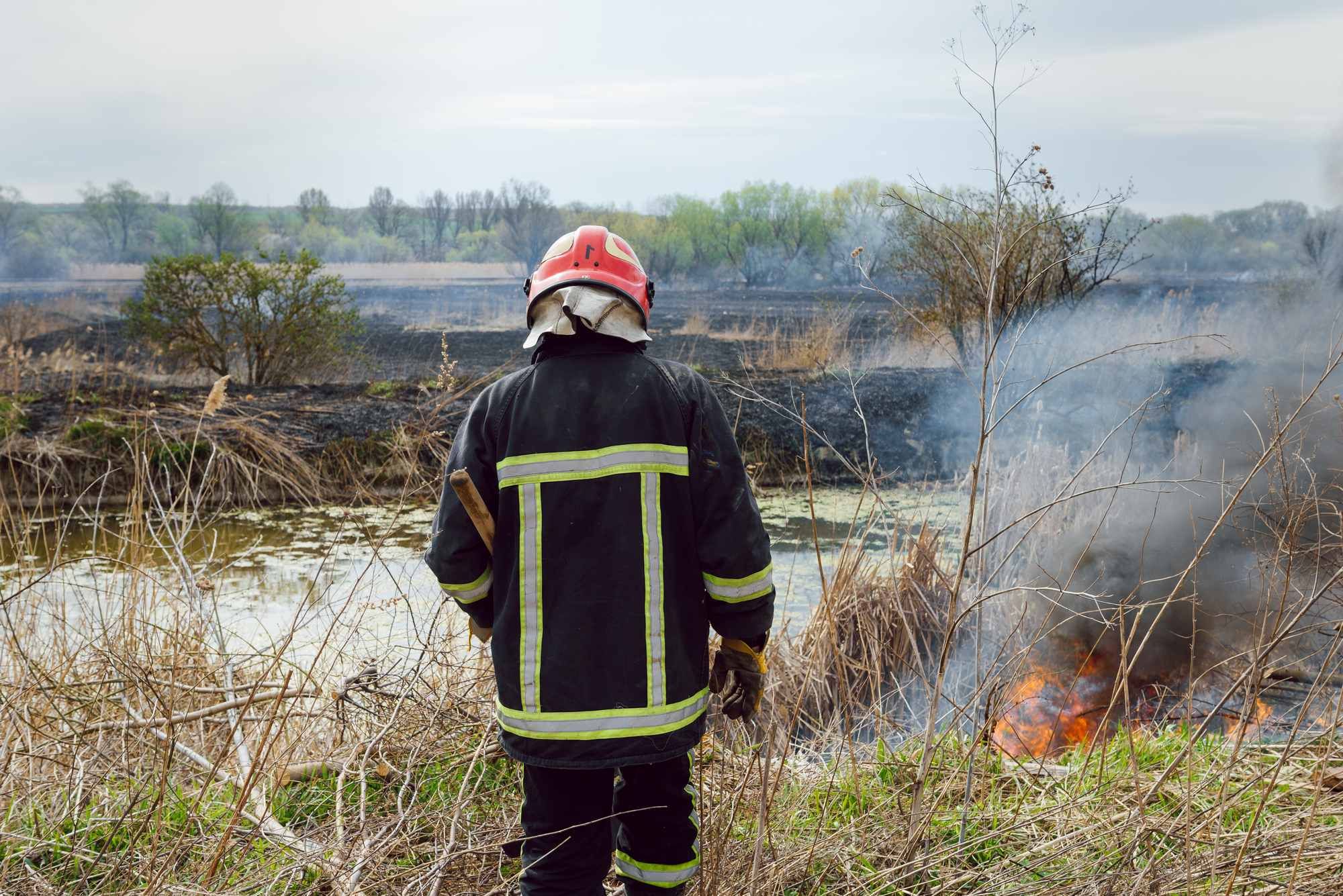 California Fire Budget: How Much Money is Being Spent? - Top Class Actions
