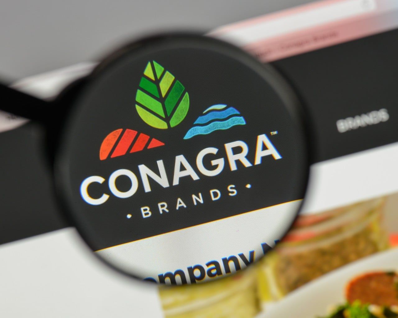 Conagra Must Show Chicken Labels Inspected, Approved by Regulators ...